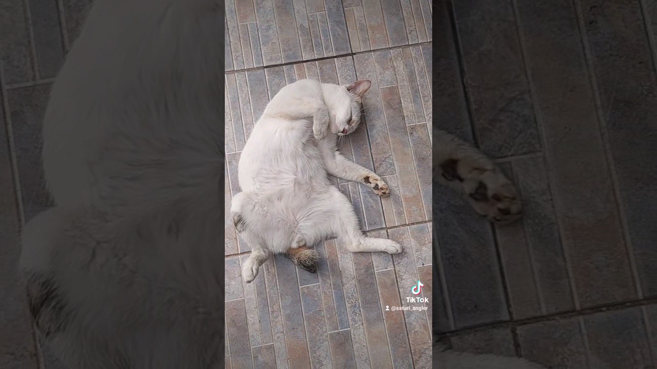 Zzzttt.... - YouTube