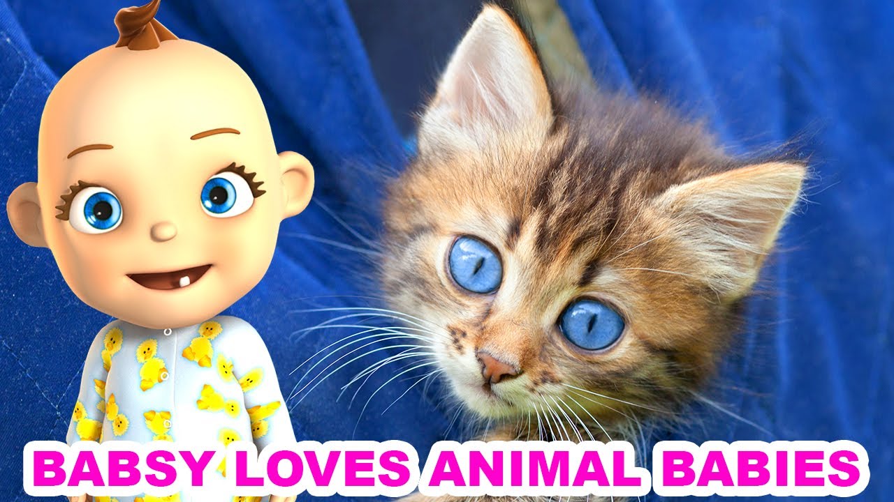 Sweetest And Cutest Animal Babies ️ by Babsy Baby ️ Babsy Baby Loves ...