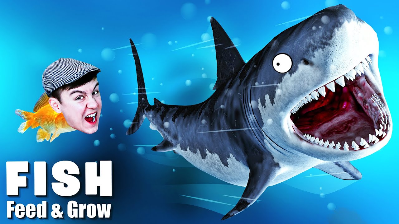 MINI FISCH BESIEGT XXL HAI! - FISCH Simulator - YouTube
