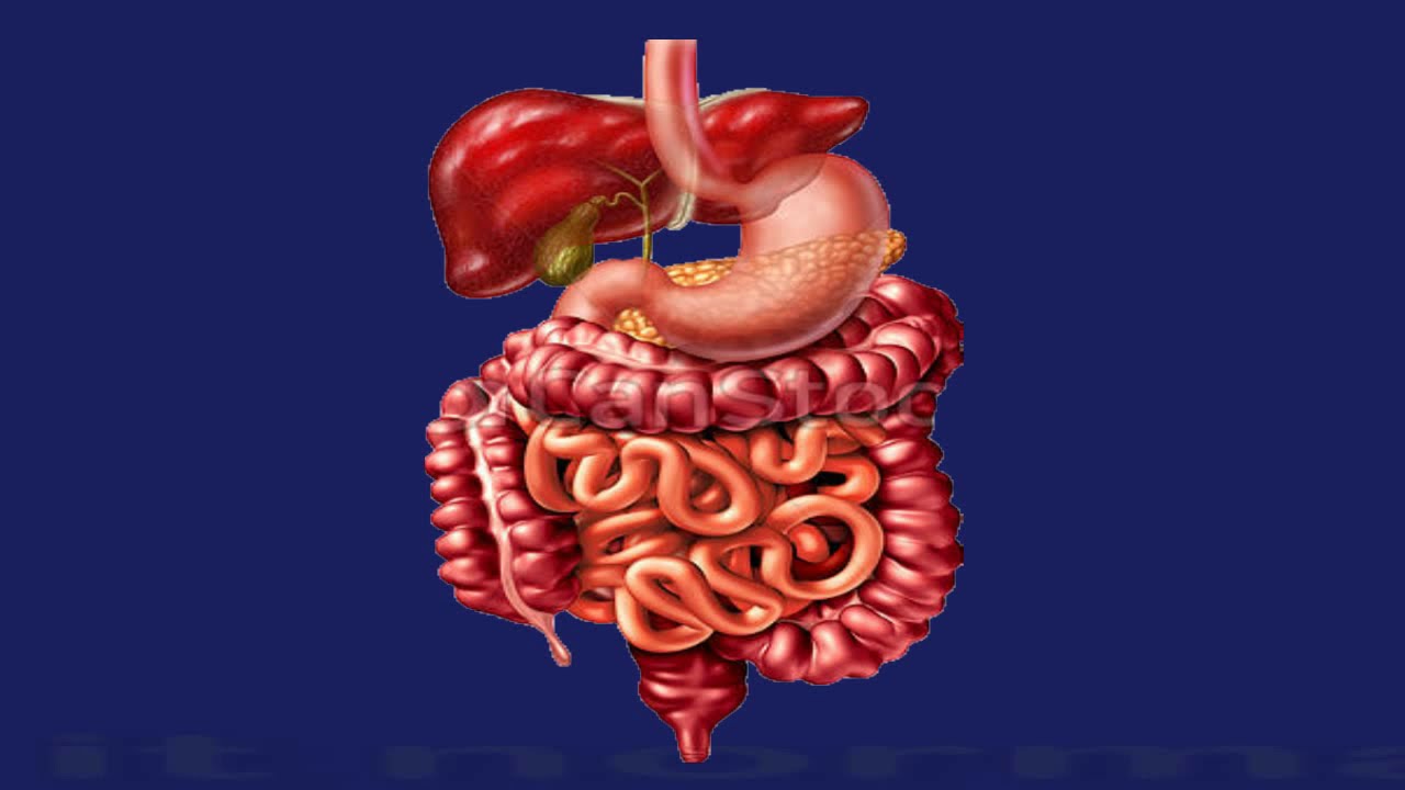 Gas At Night: Causes And Prevention - YouTube