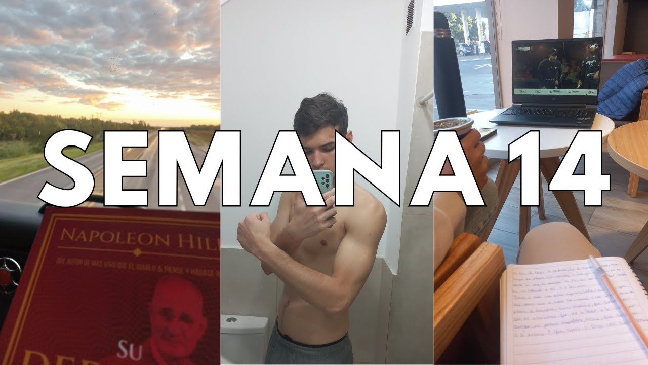 Documentando mi Proceso Hacia el ÉXITO en Trading I Semana 14 - YouTube