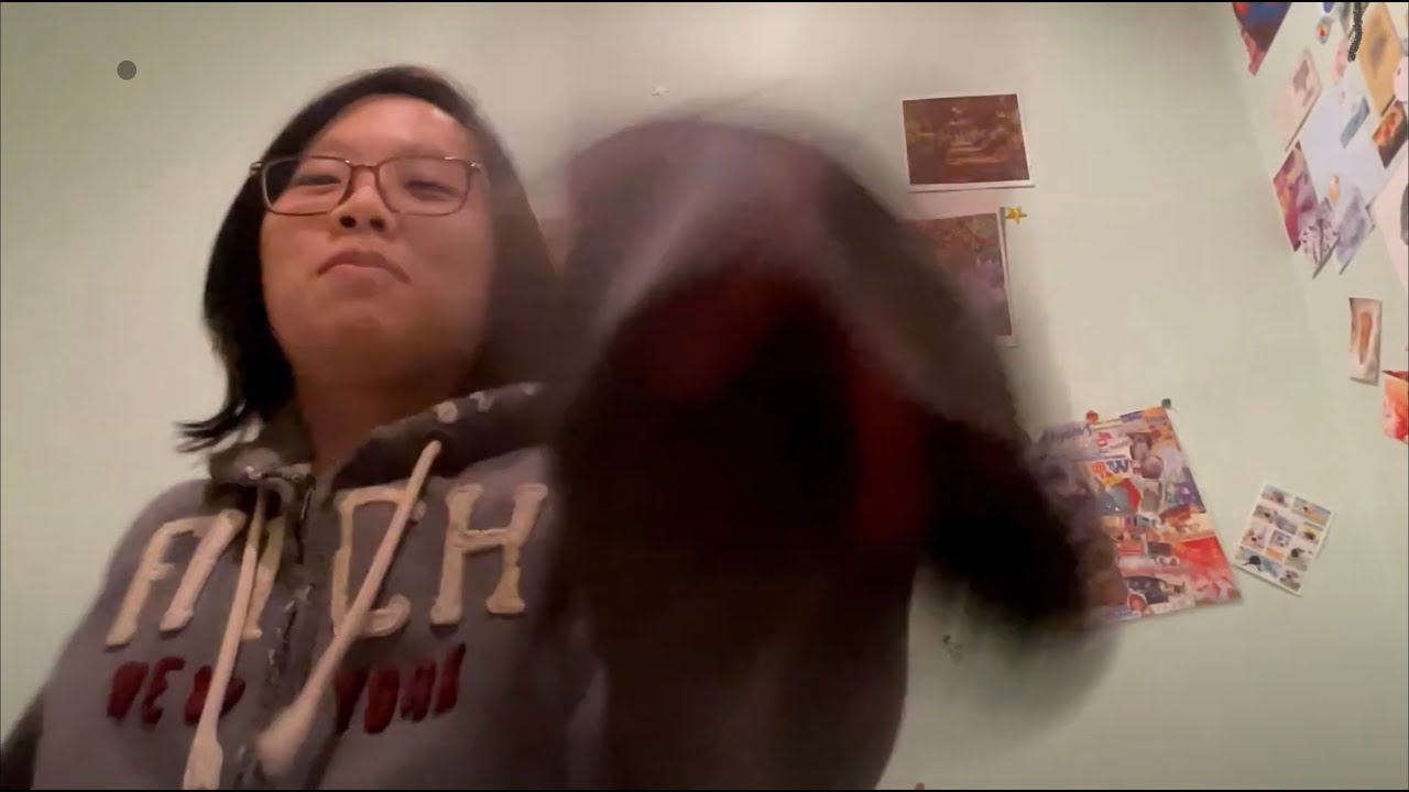 Chaotic Comfy Random Rambles ASMR🌙 - YouTube