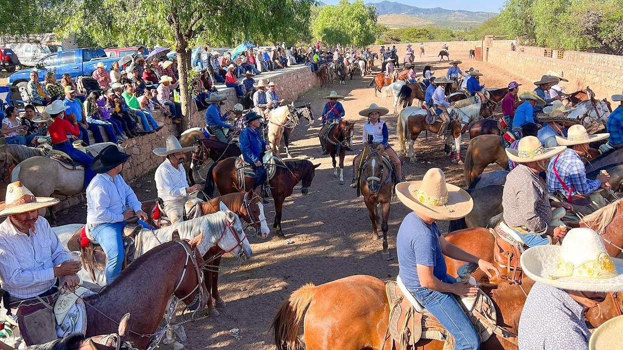 COLEADERO EN JOMULQUILLO JEREZ ZACATECAS LIENZO CHARRO LA LOMA- 12 DE ...