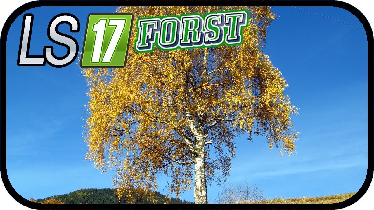 LS17 FORST FICHTELBERG SE02 - Die Anlieferung der neuen Birke #068 ...