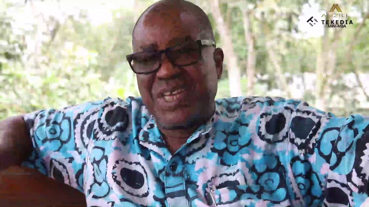 Tech Legend, Herman Chinery-Hesse, Endorses Tekedia MinI-MBA for ...