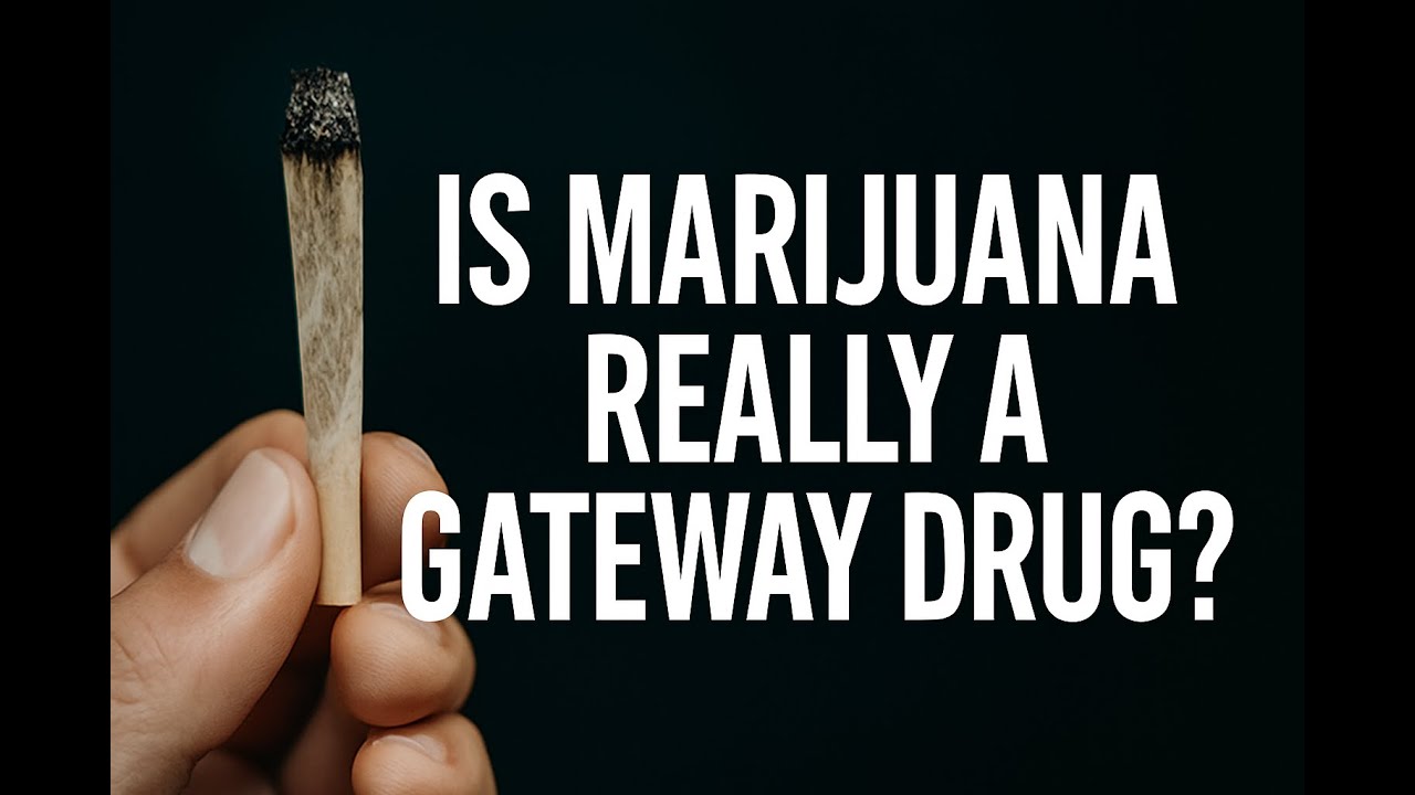 Is Marijuana Really a Gateway Drug? The Truth Behind the Science (Deep ...