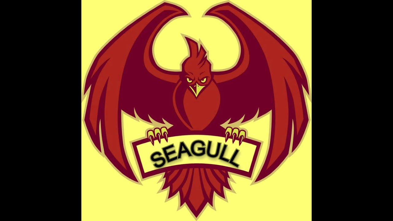 Seagull gaming first Live Stream test - YouTube
