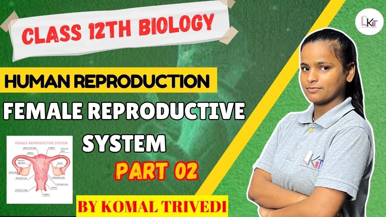 Female Reproductive System Part 2 | Human Reproduction | Class 12 ...