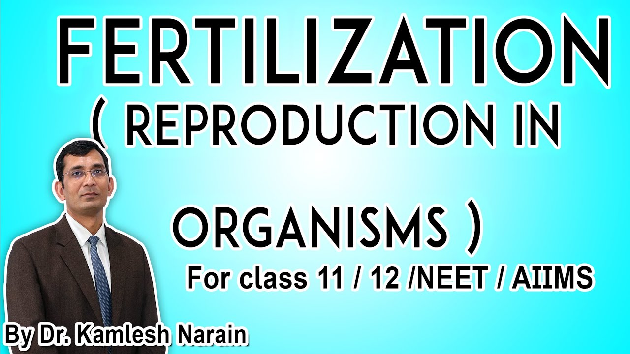 Fertilization (Reproduction in organisms) Chapter 1, Class 12 By Dr ...