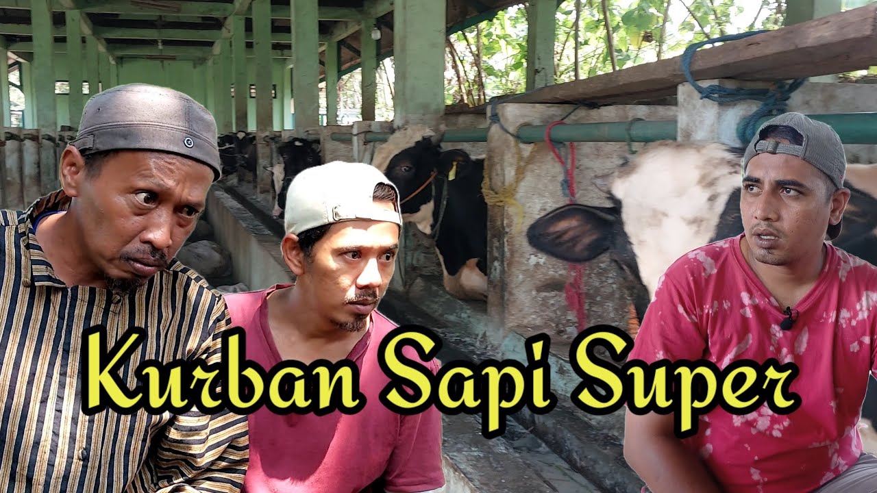 KURBAN SAPI SUPER || FILM KOMEDI PENDEK PEKALONGAN - YouTube