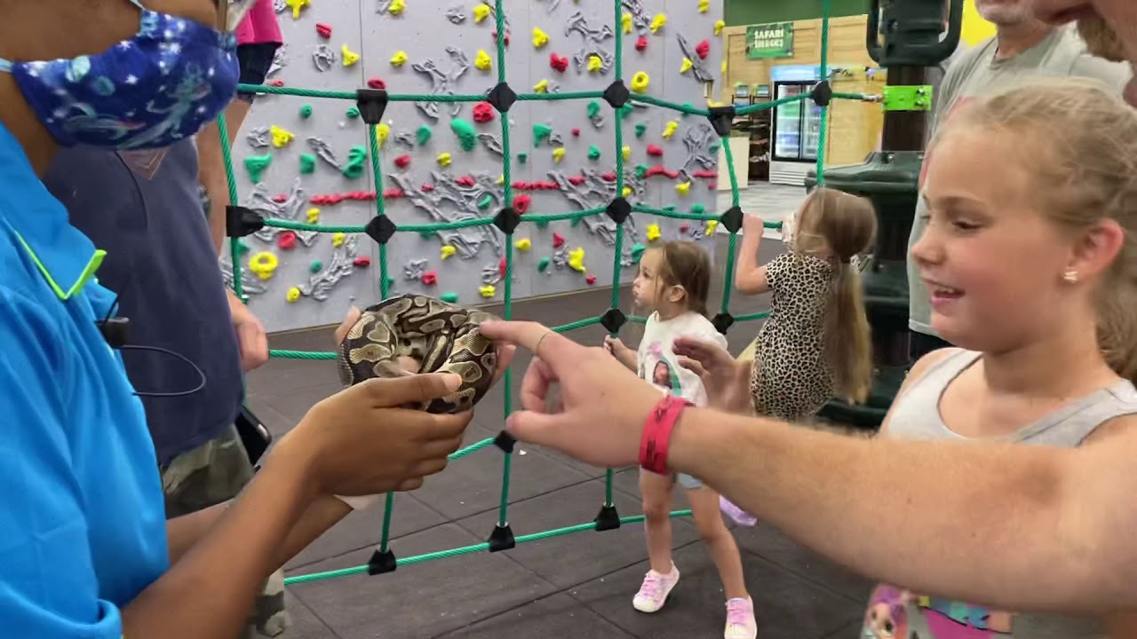 Snake petting - YouTube