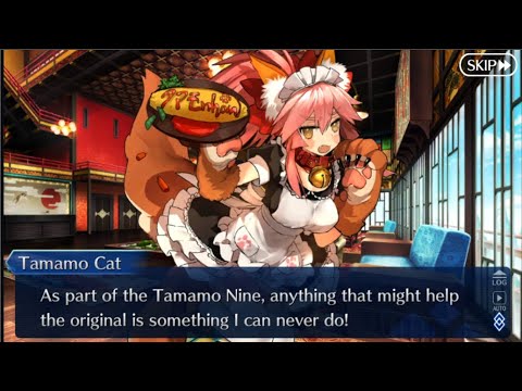 Fate/Grand Order NA Tamamo & Tamamo Cat chat - YouTube