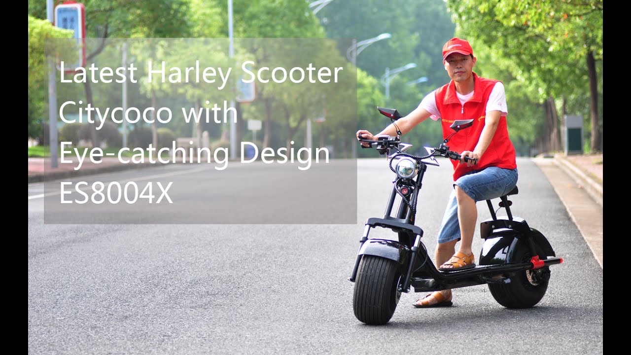 2018 Citycoco Harley Electric Scooter with Brushless Motor ES8004X ...