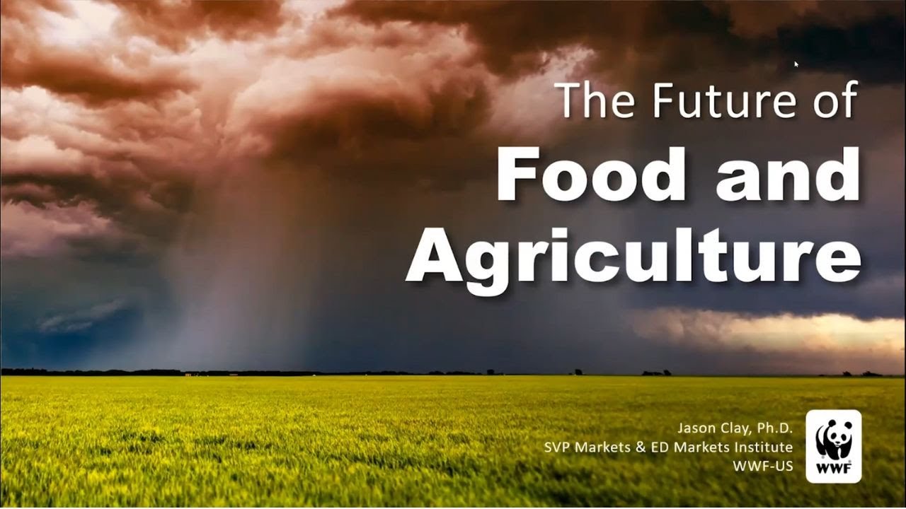 The Future of Food and Agriculture - YouTube