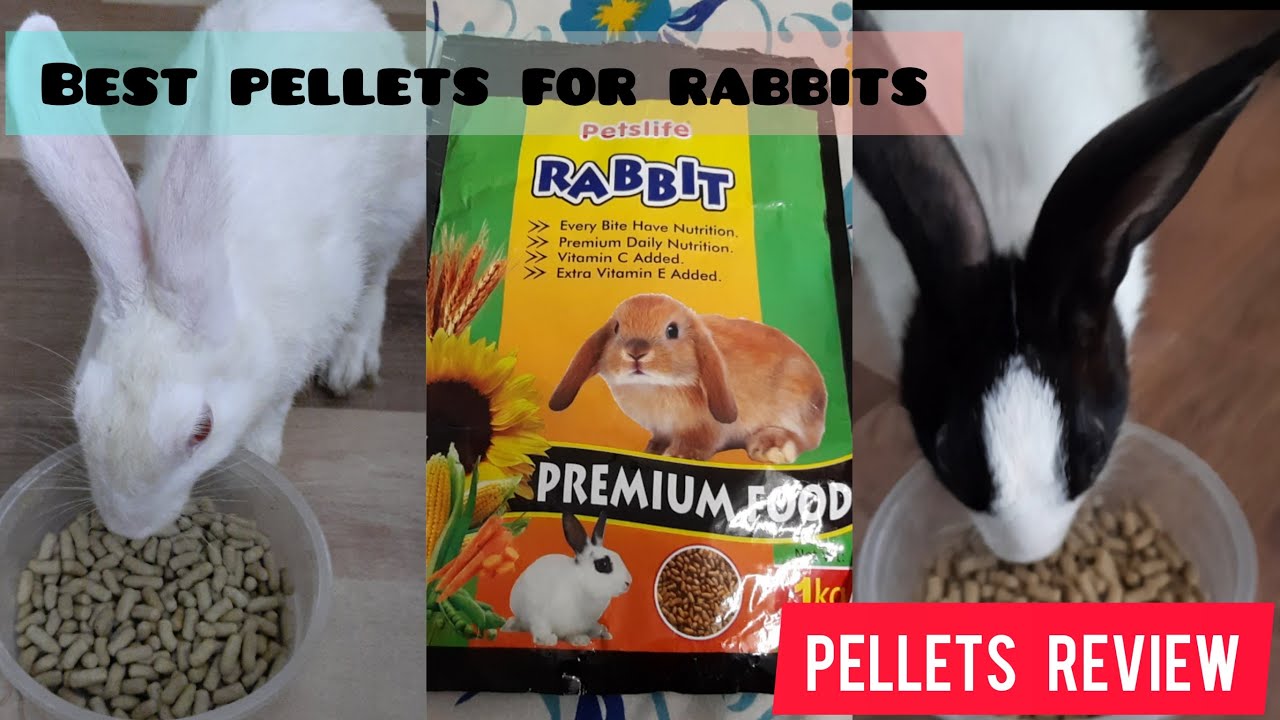 Rabbits Pellets Unboxing And Review | Best Pellets For 🐇 | खरगोशों के ...