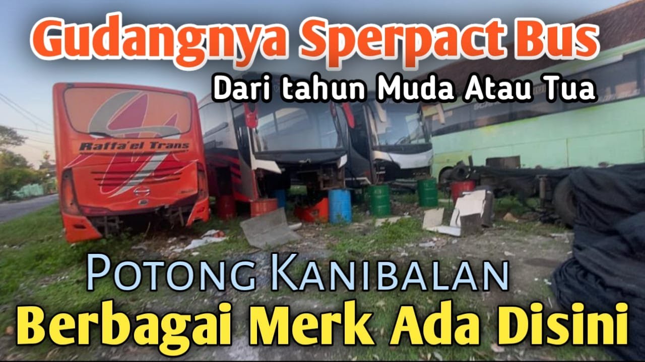 GUDANGNYA SPERPACK BUS KANIBALAN ( Hino , Mercedes_Benz . Scania ...