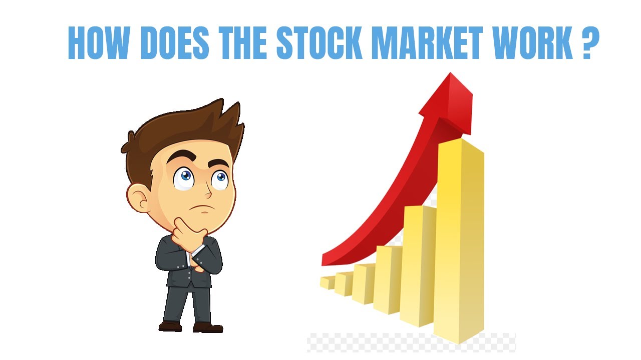 The Stock Market - O/L Mathematics - Srilankan National Curriculum ㅣ ...
