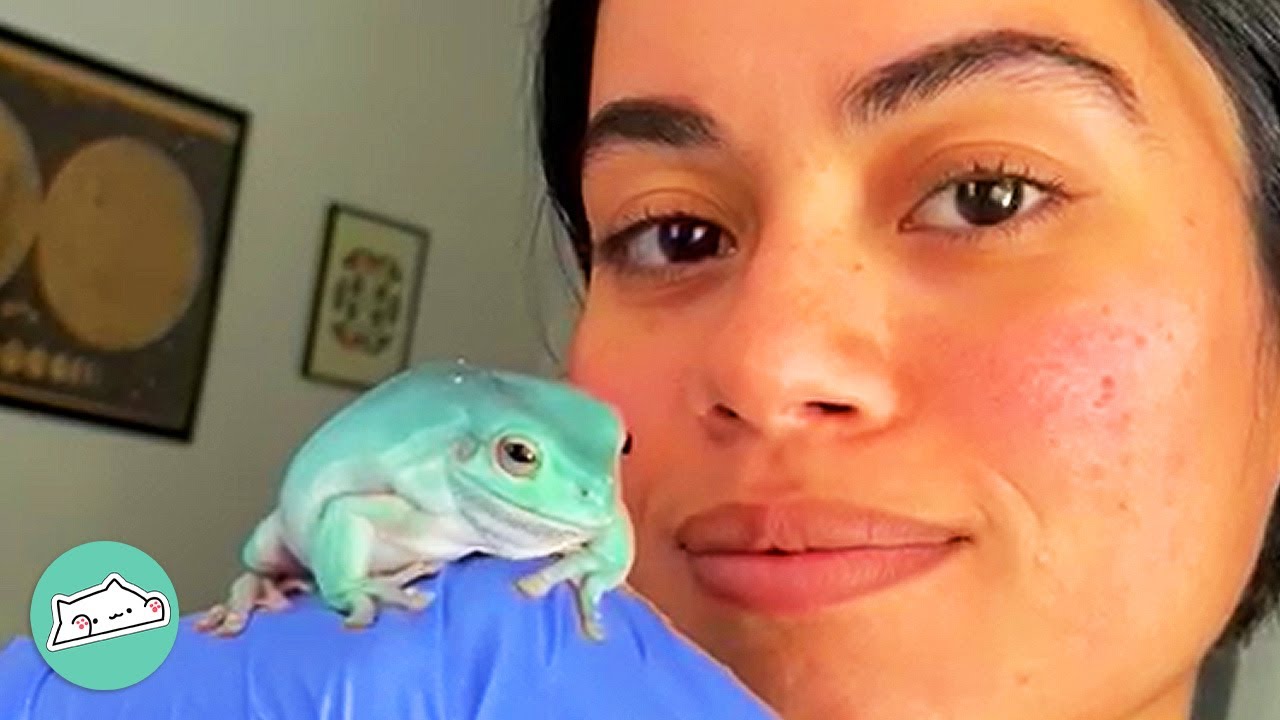 These Frogs Scare People, But Girl Can’t Stop Kissing Them | Cuddle ...