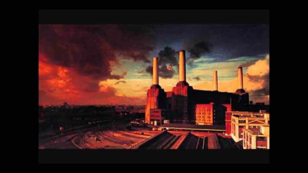Pink Floyd Pigs (Three Different Ones) Remaster HD. - YouTube