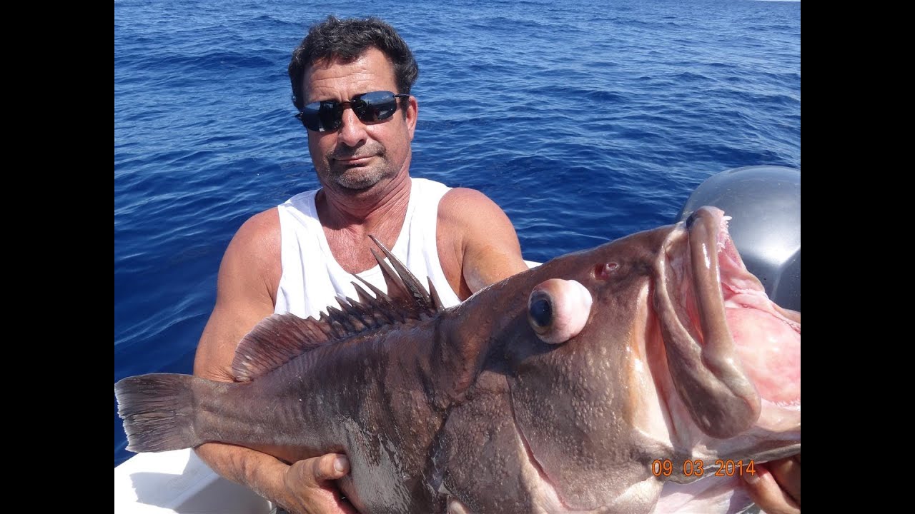 Pescaria Alto Mar - CHERNE, NAMORADO E CHUMBO - 09 de março de 2014 ...
