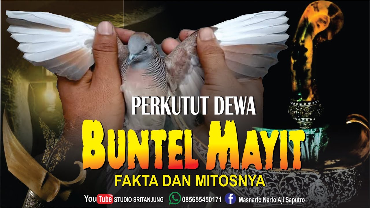 PERKUTUT DEWA BUNTEL MAYIT - YouTube