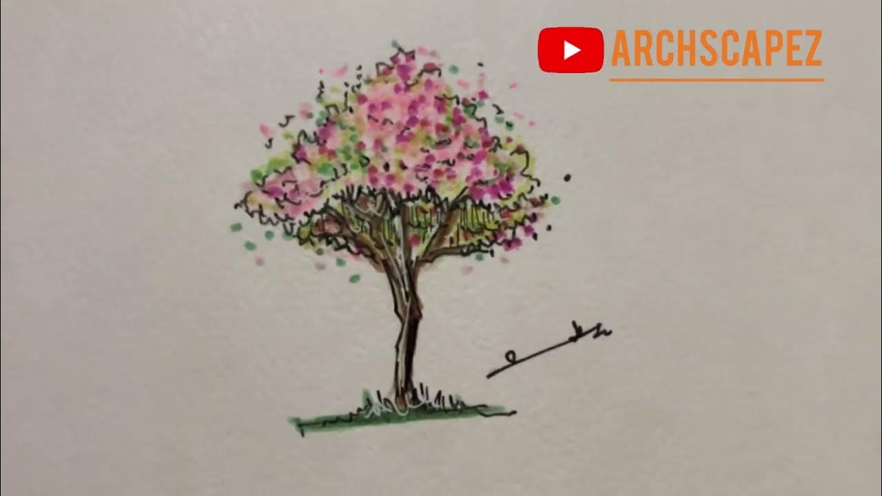 DRAW ARCHITECTURAL TREES ( tutorial 1@Archscapez ) - YouTube