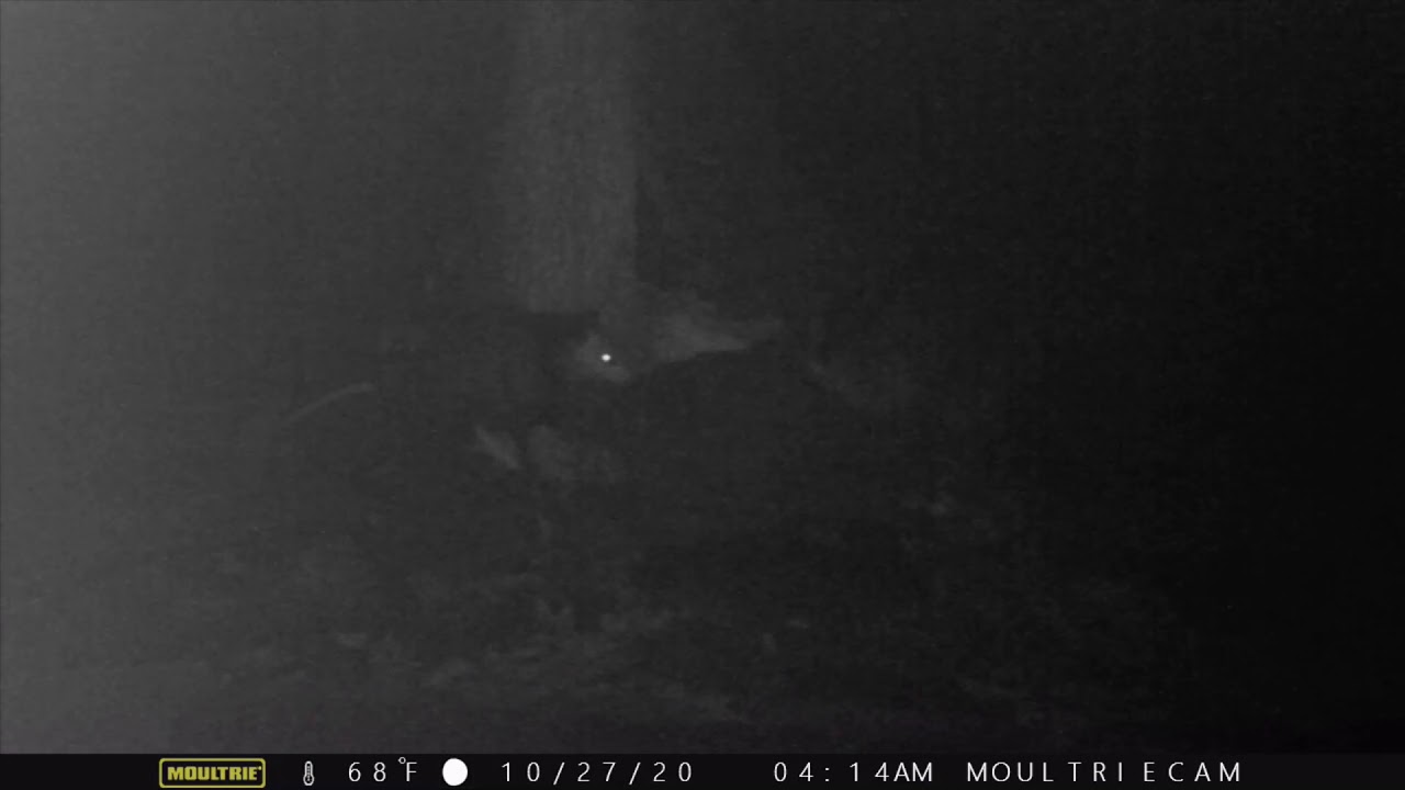 Oct 27 2020 - YouTube