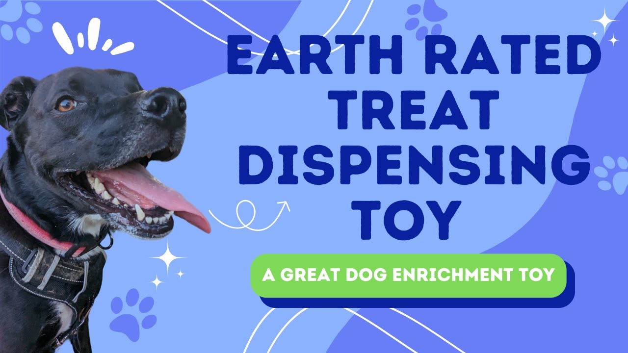 Earth Rated Treat Dispensing Dog Toy Review | Enrichment & Slow Feeder ...