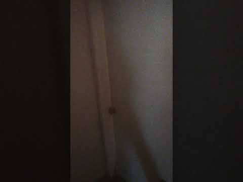 Drunk Pooping with the door open😎😂 - YouTube