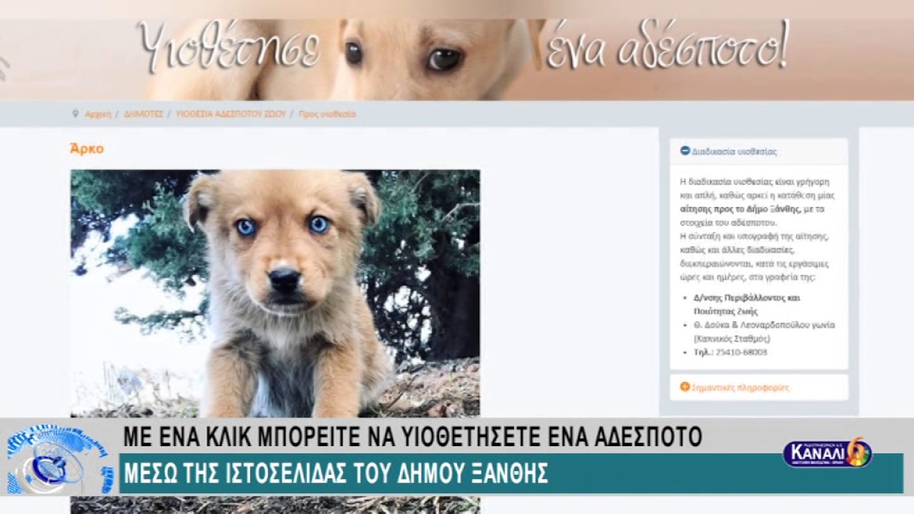 ΜΕ ΕΝΑ ΚΛΙΚ ΜΠΟΡΕΙΤΕ ΝΑ ΥΙΟΘΕΤΗΣΕΤΕ ΕΝΑ ΑΔΕΣΠΟΤΟ ΜΕΣΩ ΤΗΣ ΙΣΤΟΣΕΛΙΔΑΣ ...