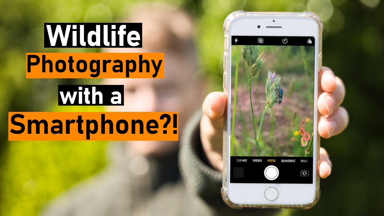 Wildlife Photography with a Normal SMARTPHONE?! Yes it's Possible ...