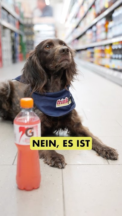 Die rote oder blaue Pille? 💊 - YouTube