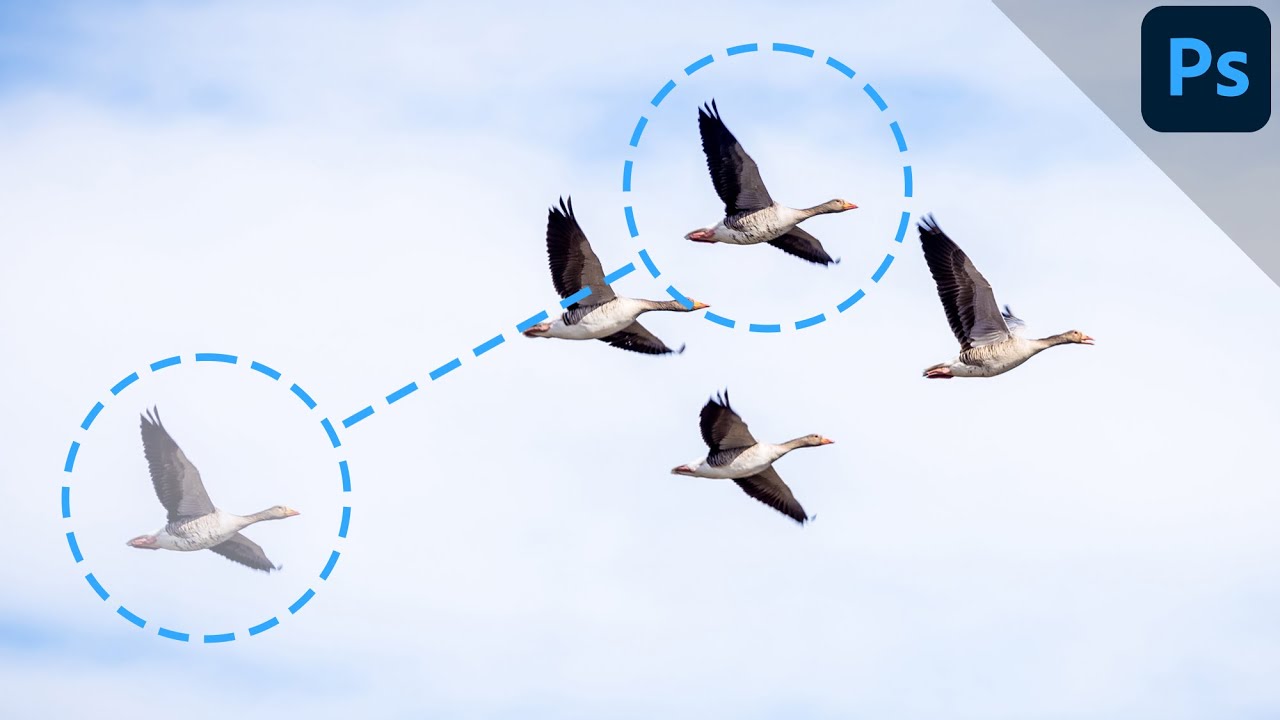 Move something with the PATCH TOOL | PHOTOSHOP TUTORIAL - TIPS & TRICKS ...