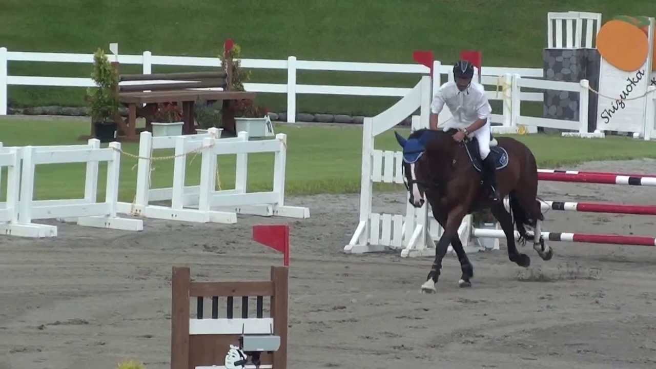 Clydesdale Tiny Derby for the first time - YouTube