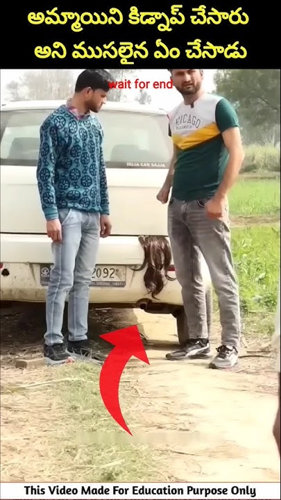 ⚡⚡💥Most Interesting amazing facts Telugu|113⚡💥⚡#telugu#viral#trending #shorts#ytshorts#short ...