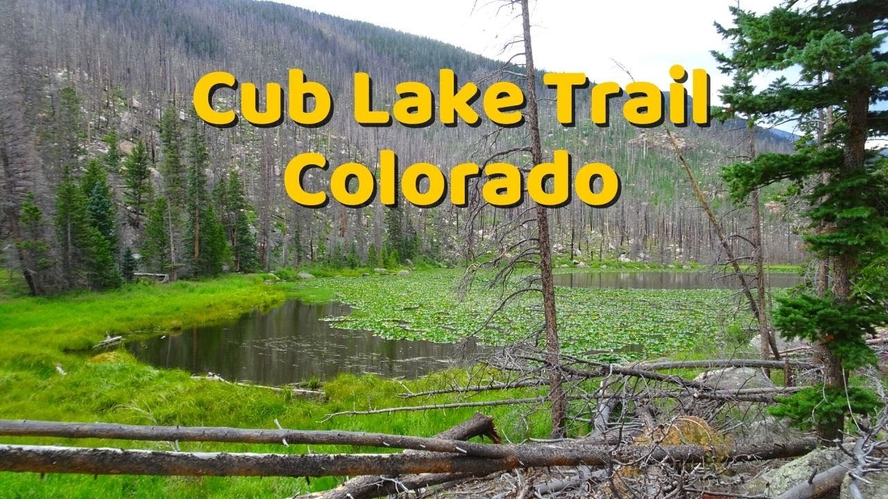 Rocky Mountain National Park - Cub Lake Trail - YouTube