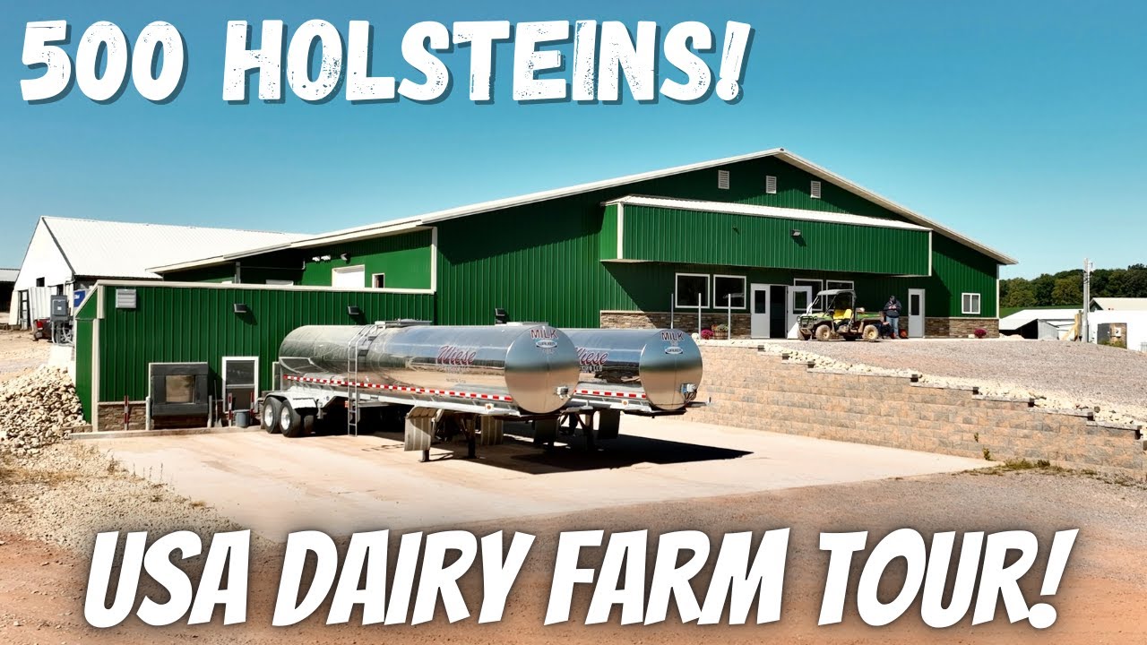 Milking 500 Cows In Wisconsin USA! 🇺🇸 - YouTube