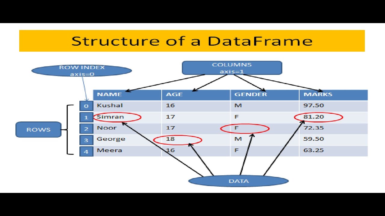 Dataframe Part1 Class 12 Informatics Practices Youtube