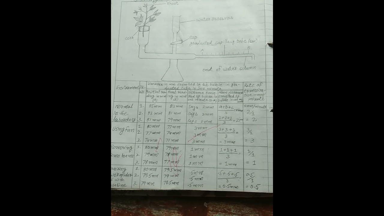 Measurement of Factors Affecting rate of transpiration using potometer ...