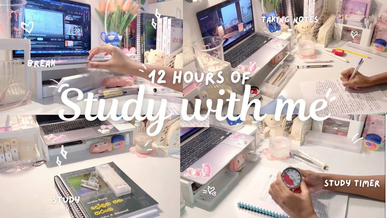 12+ Hour Study With Me ☕ Pure Study Vlog - YouTube