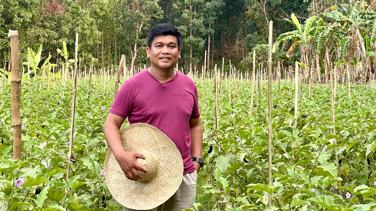 Discipline sa Barko, Aplicable sa Farming: Bata pa Preparing na for ...