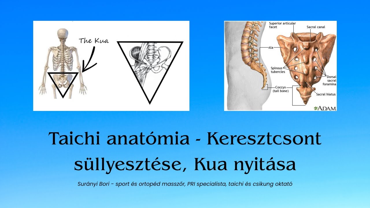Taichi/Taiji anatómia - keresztcsont süllyesztés, Ming Men, Kua nyitása ...