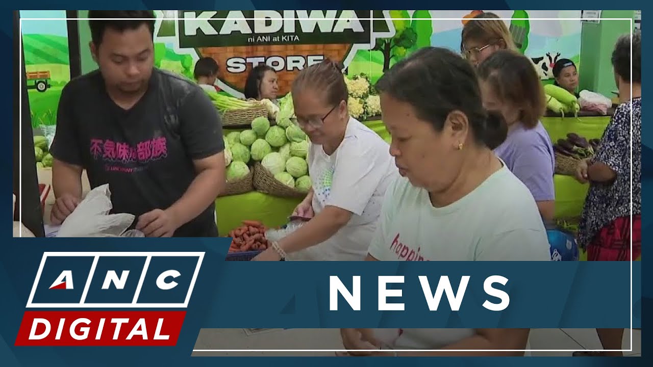 DA launches large-scale trial of Bigas29 program | ANC - YouTube