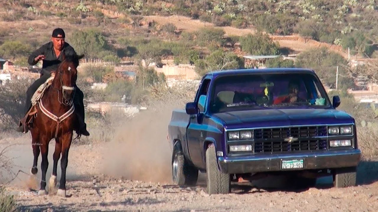 Carreras de Rancho - Caballo Vs Perro, camioneta, cuatrimoto, etc - YouTube