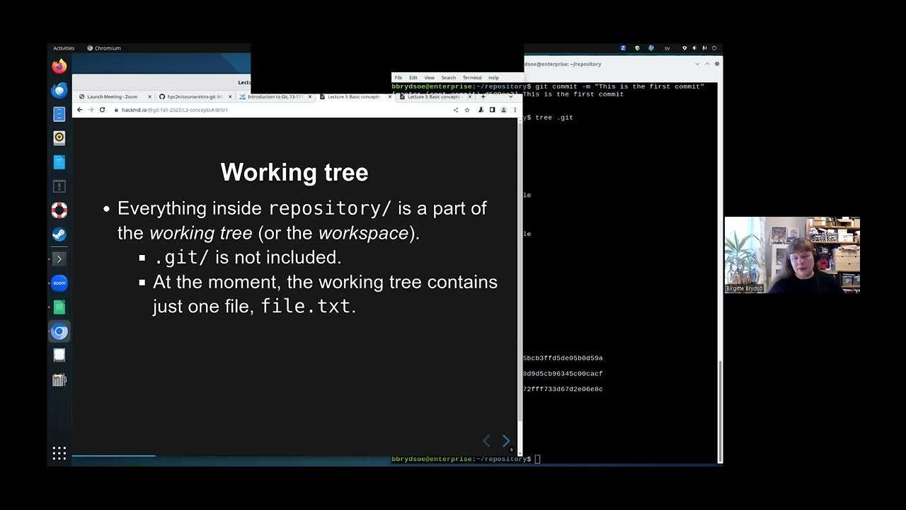 Lecture 3: Basic concepts of Git - YouTube