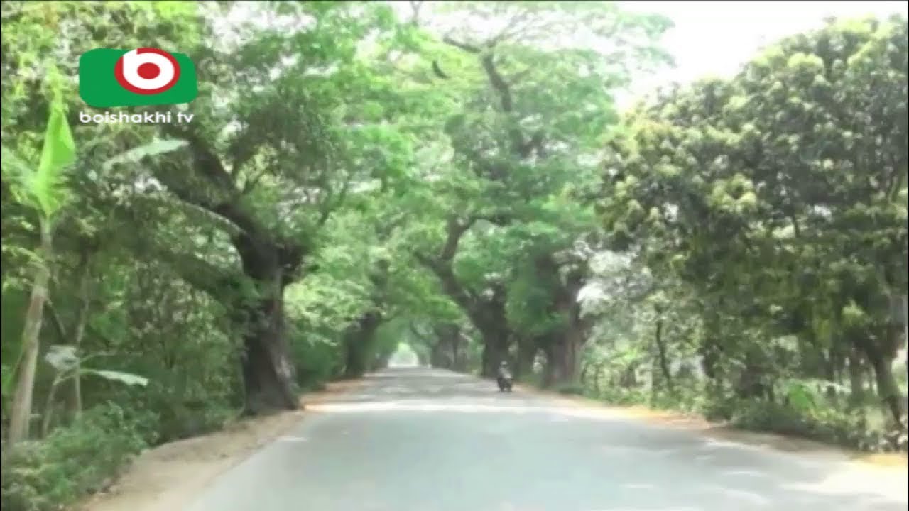 Jessore Road Trees History | Mithun | 22Jan18 - YouTube