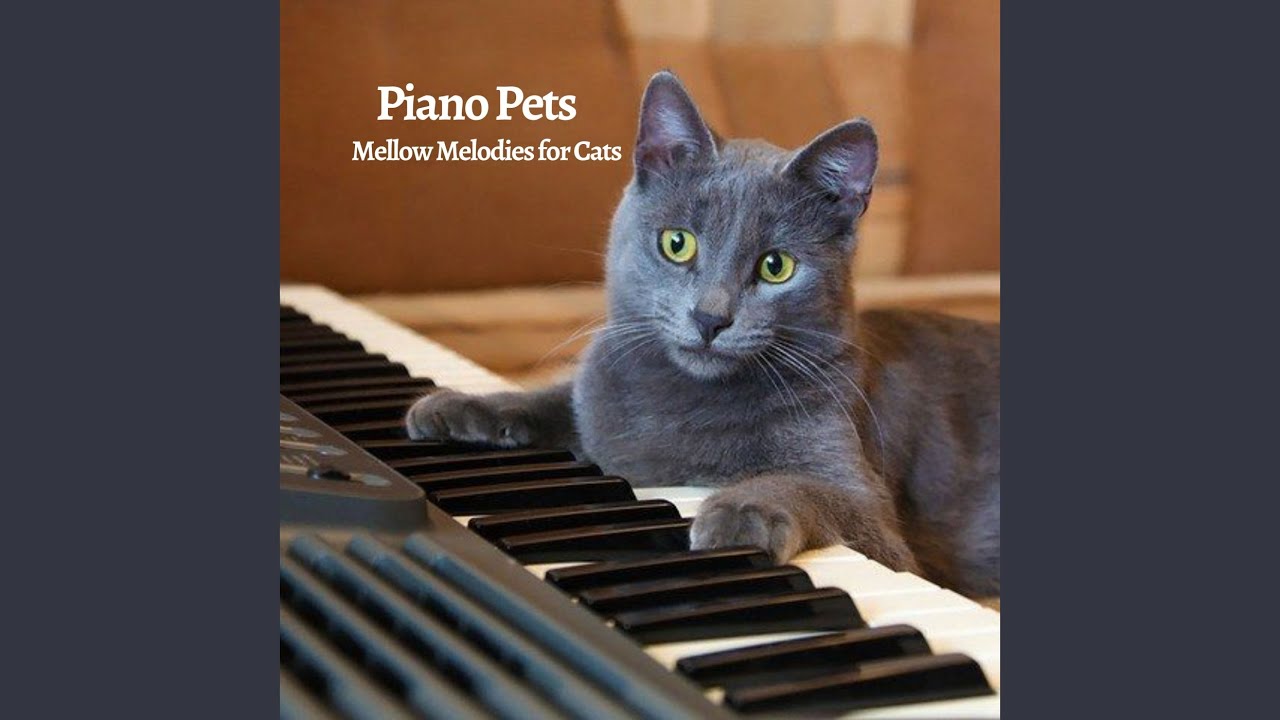 Sunday Morning Relaxing Organ Melody - YouTube