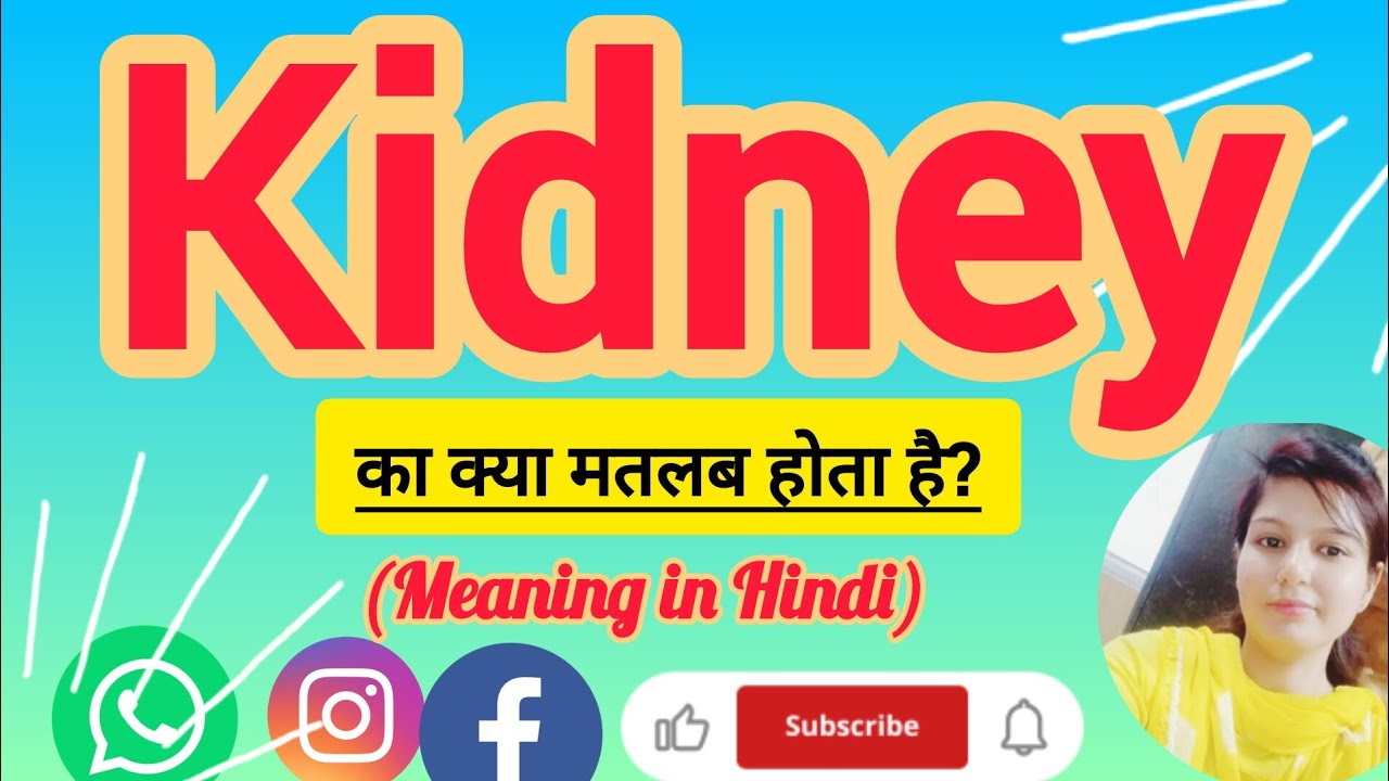 Kidney Meaning In Hindi Kidney Ko Hindi M Kya Khte H Kidney Ka Matlb Kidney Meaning In Hindi Kidney Ko Hindi M Kya Khte H Kidney Ka Matlb