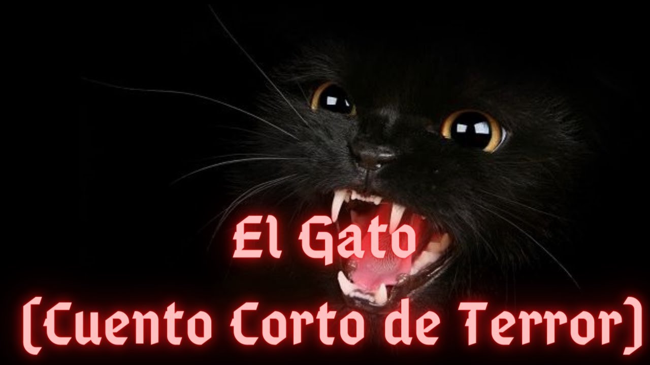 El Gato (Cuento Corto de Terror) - YouTube