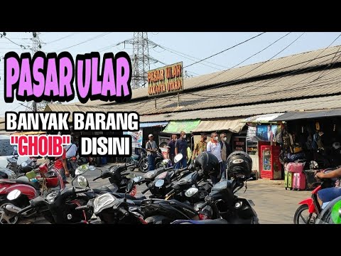 PASAR ULAR : PUSATNYA PAKAIAN ORIGINAL DAN HARGA GROSIRAN - YouTube